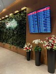 İGA (İstanbul, Arnavutköy, Tayakadın Mah., Terminal Cad., 1), yönetim ofisi  Arnavutköy'den