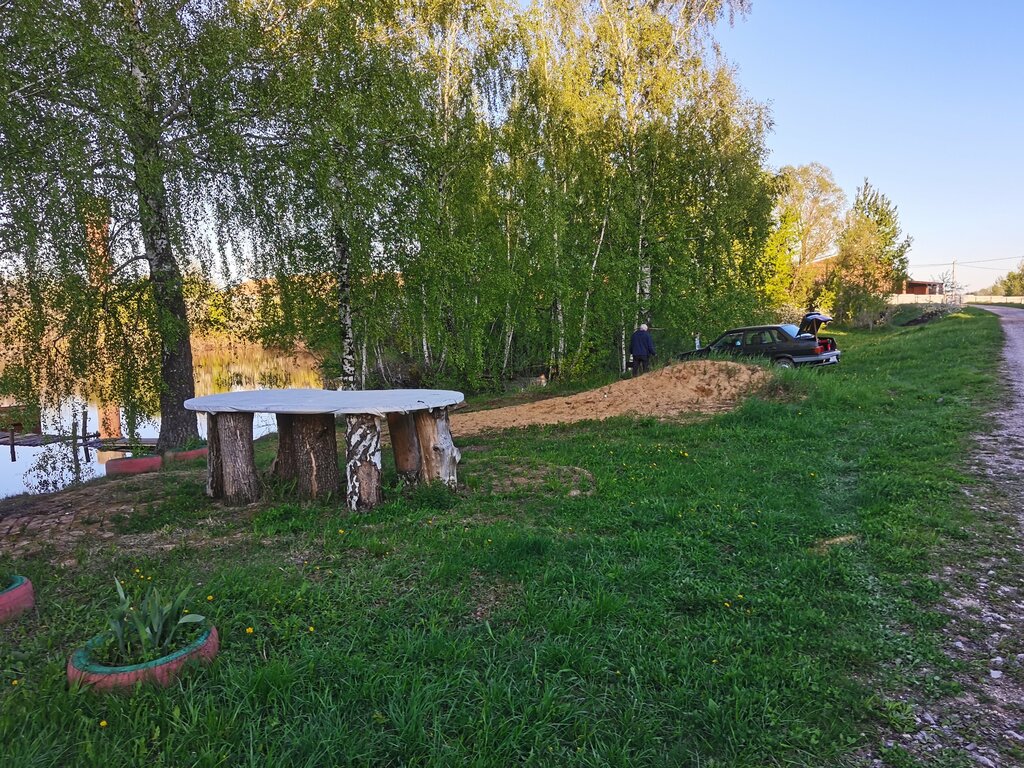 Piknik alanı Место для пикника, Tulskaya oblastı, foto