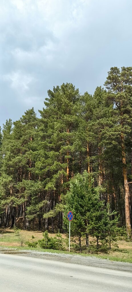 Turistik yerler Старо-Вознесенский рудник, Sverdlovskaya oblastı, foto