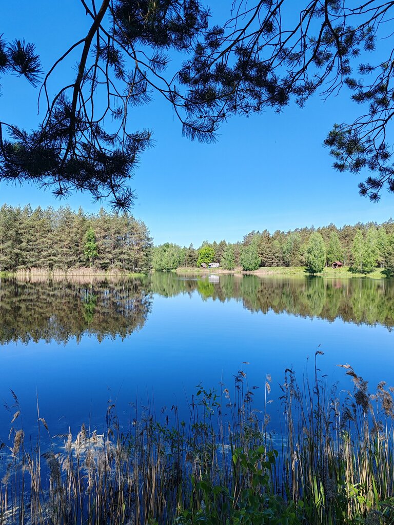 Resort oteller, tesisler Сябрыньские Озёра, Grodnenskaya oblastı, foto