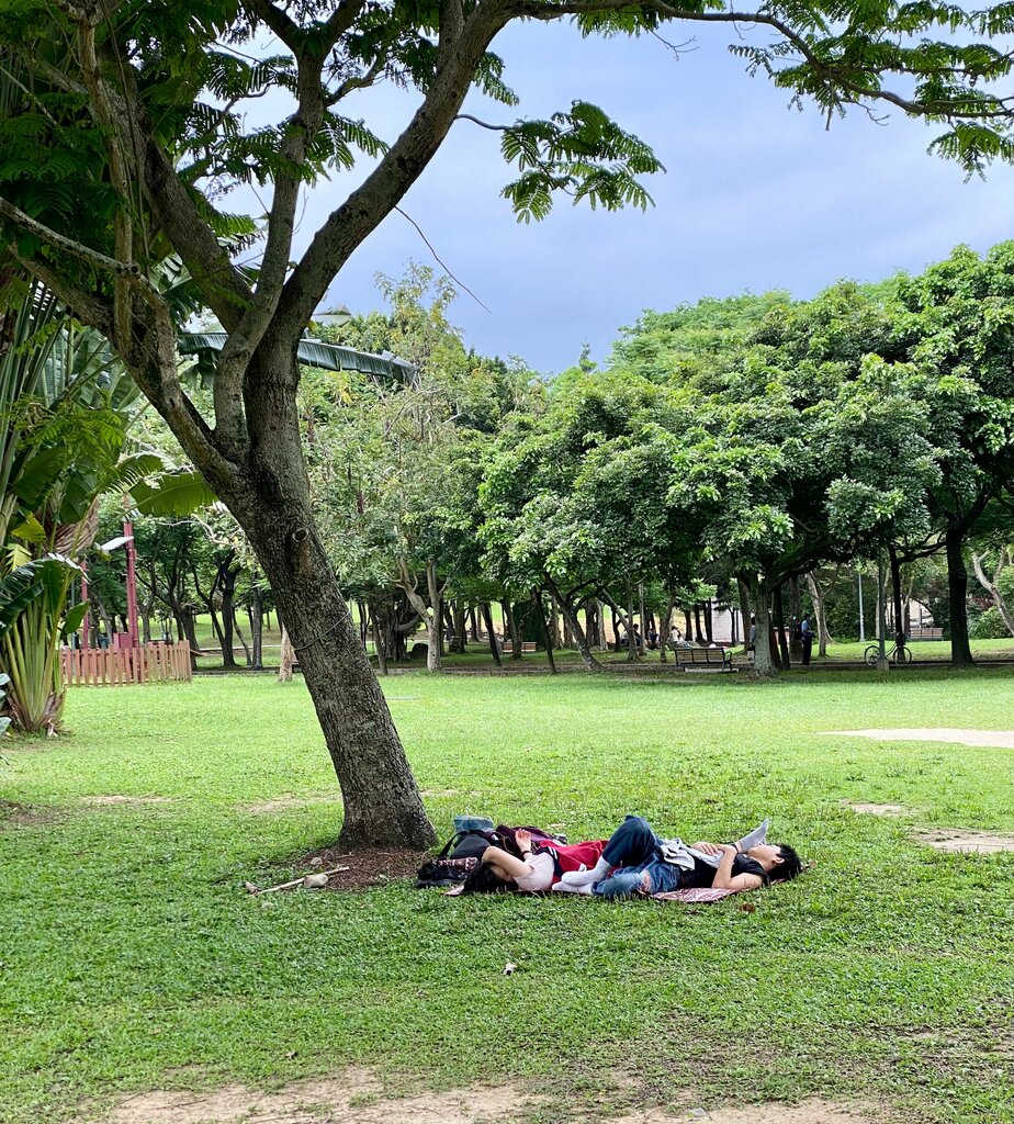Kültür ve eğlence parkları Daan Forest Park, Taipei, foto