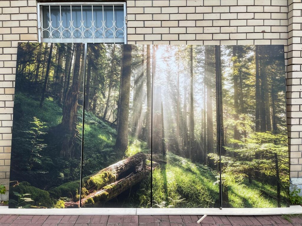 Sanat galerileri ve merkezleri Arthousefoto, Koroliov, foto