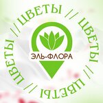 Эль-Флора (Volgograd, Tsentr), çiçekçiler  Volgograd'dan