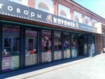 Котофей (Chernyakhovskogo Street No:15А), petshop  Kaliningrad'dan