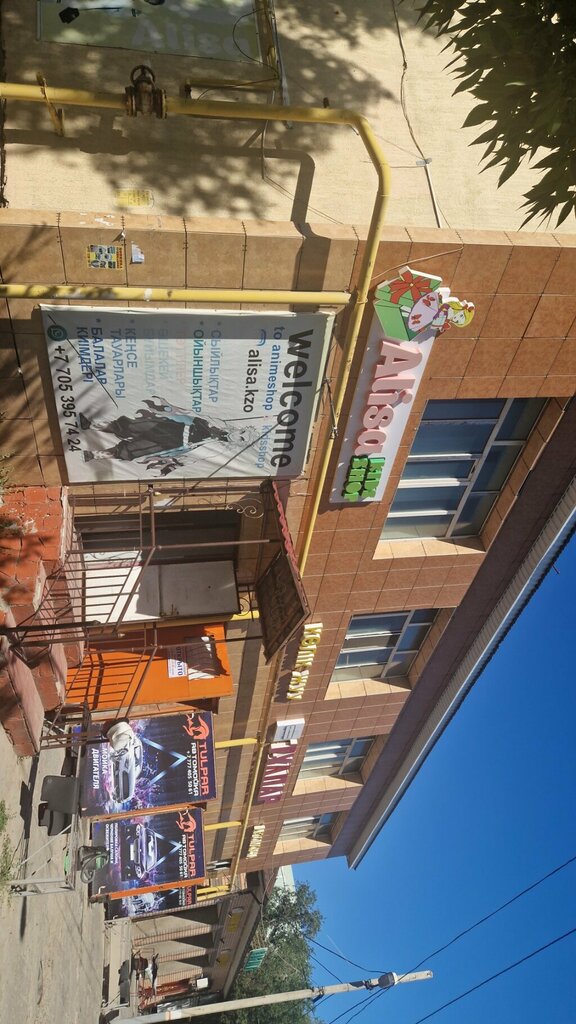 Spor ve jimnastik salonları Alex Gym, Kızılorda, foto