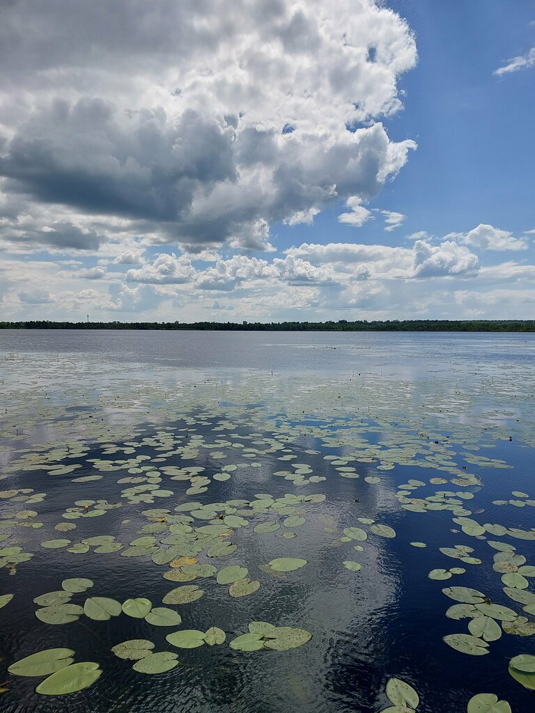 Göl Озеро Полецкое, Moskova ve Moskovskaya oblastı, foto