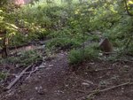 Spring, stream (Ivanovo, Traktornaya ulitsa), pınar, çay  İvanovo'dan