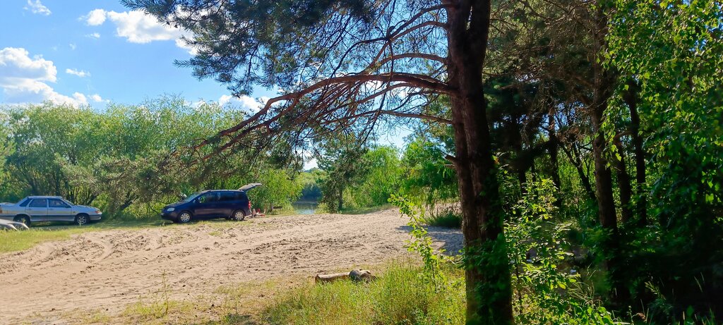 Plaj Пляж, Brianskaya oblastı, foto