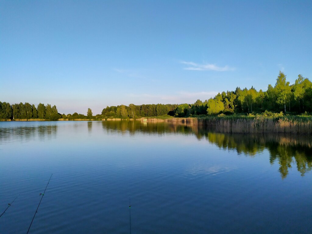 Balık çiftçiliği ve toptancıları Сивиш, Minskaya oblastı, foto