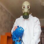 Насекомых нет (ulitsa Tatyany Snezhinoy No:40), haşere ilaçlama firmaları  Novosibirsk'ten