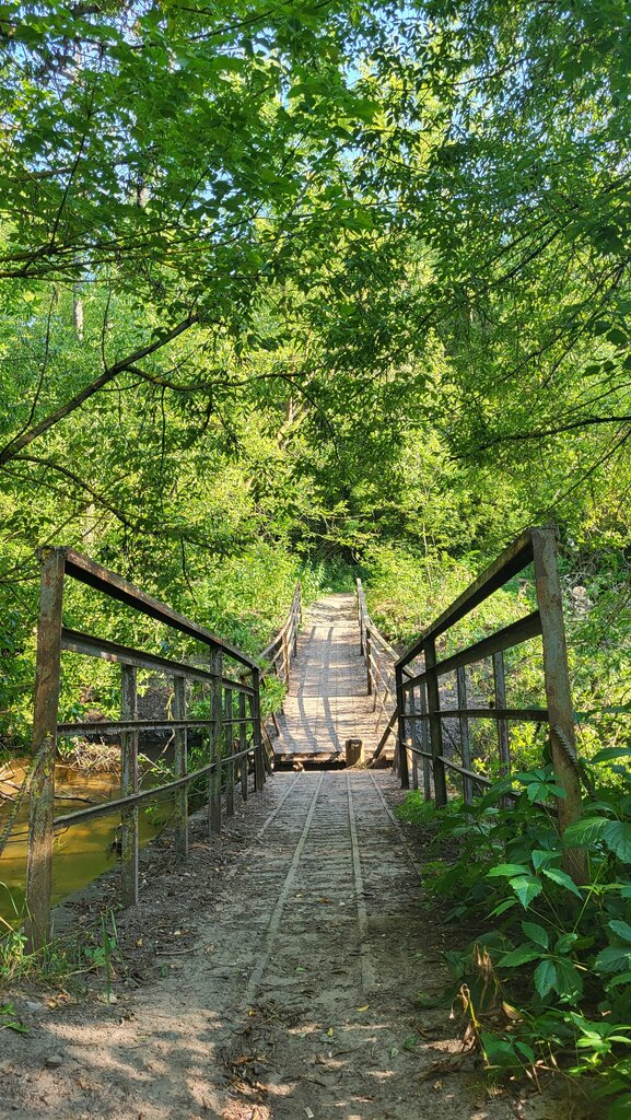 Kamp alanları Кемпинг, Gomelskaya oblastı, foto