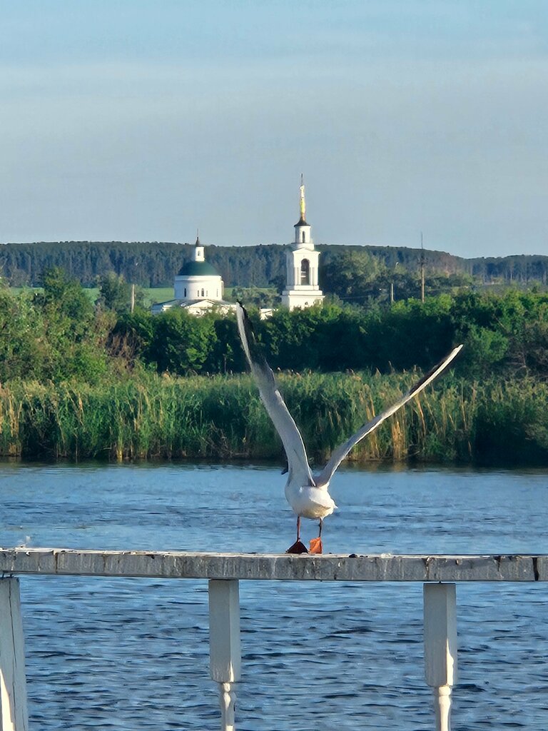 Lunapark Арамильский парк Малина, Aramil, foto