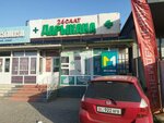 Pharmacy #2 (Kurmanbek Baatyr Street No:154, Tütsü-Kara Köyü), eczaneler  Celal‑Abad İli'nden