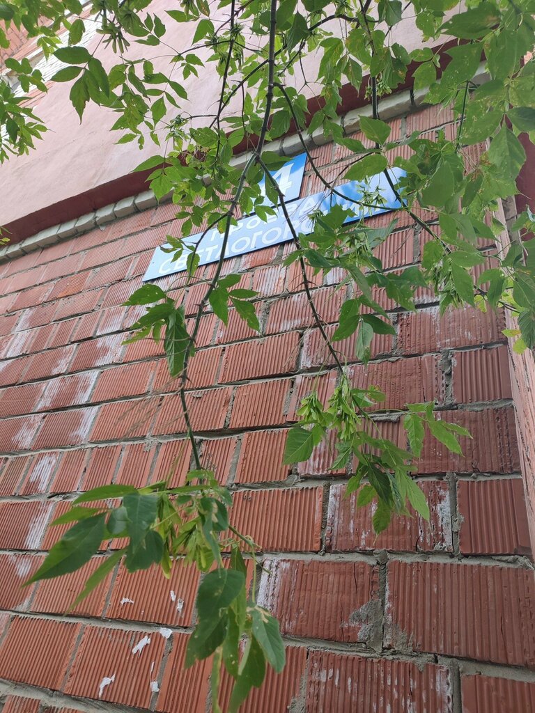 Bilişim firmaları GeoS, Nijni Novgorod, foto