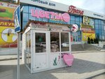 Бери букет (ulitsa imeni Generala Karbysheva No:47А/5), çiçekçiler  Voljski'den
