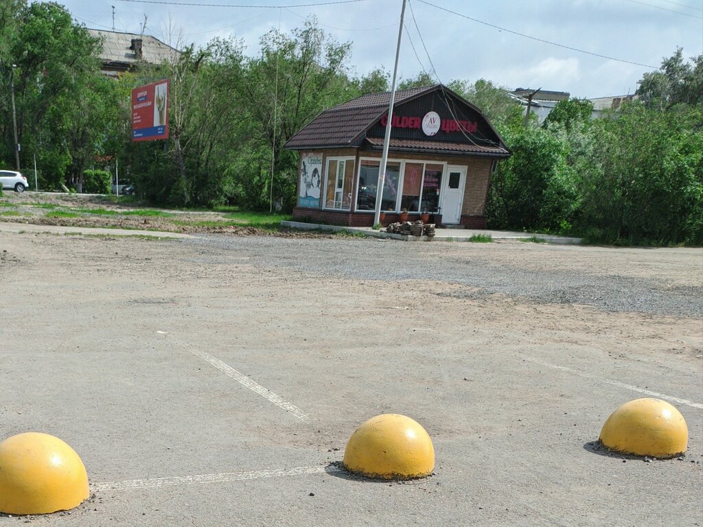 Çiçekçiler Orhideya, Aksu, foto