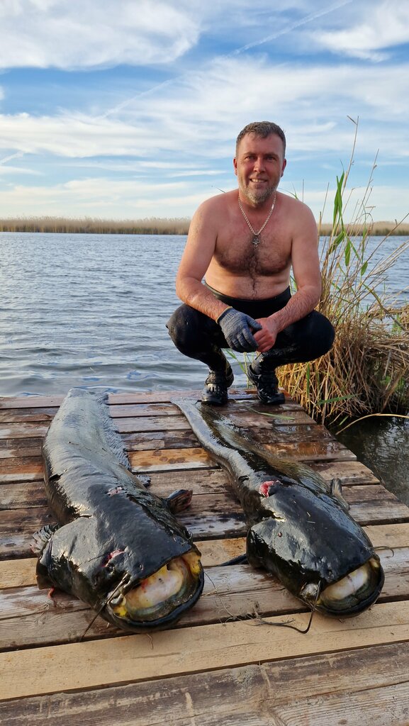 Resort oteller, tesisler Delta, Almatı eyaleti, foto