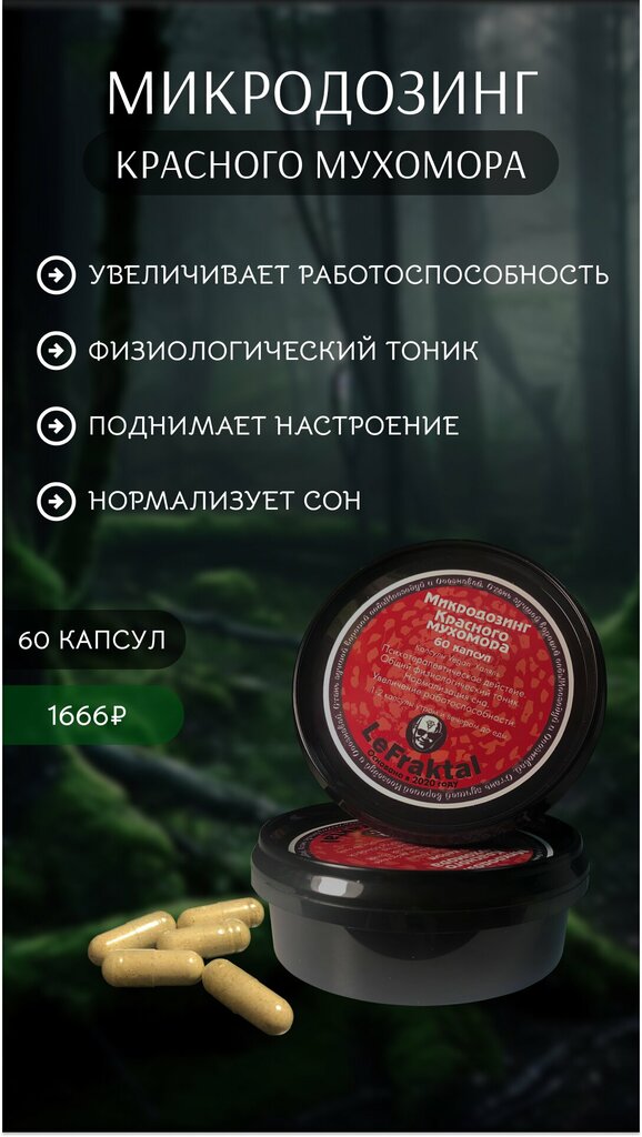 Besin takviyesi, aktariye Le Fraktal, Kazan, foto