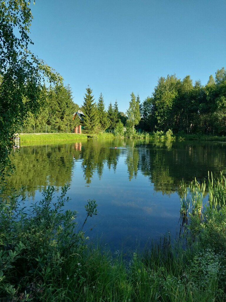 Bahçecilik dernekleri ve kuruluşları СНТ Здоровье, Moskova ve Moskovskaya oblastı, foto