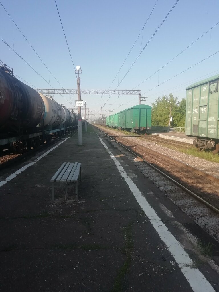 Tren istasyonu Berendino, Moskova ve Moskovskaya oblastı, foto