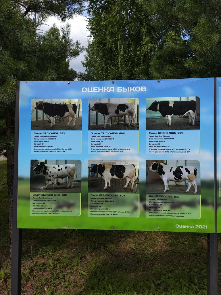 Tarım firmaları Республиканское государственное унитарное сельскохозяйственное предприятие Коми по племенной работе, Komi, foto