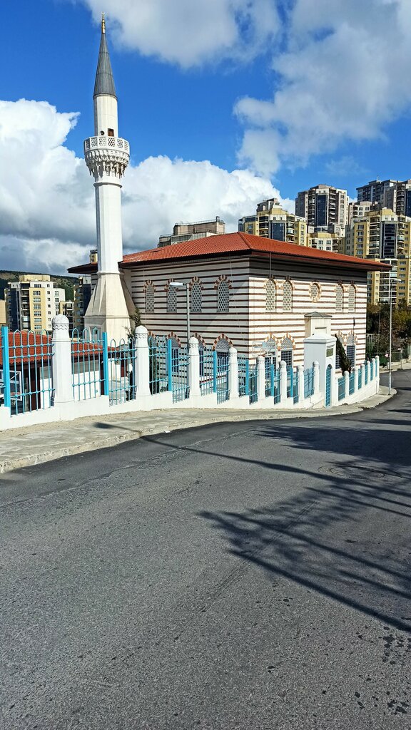 Cami Hz. Ali Camii, İstanbul, foto