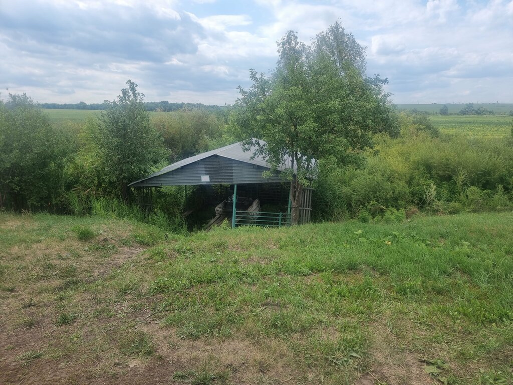 Pınar, çay Spring, stream, Samarskaya oblastı, foto