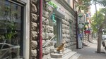 ზოო შოპი (Mikheil Tamarashvilis Street No:3), petshop  Tiflis'ten