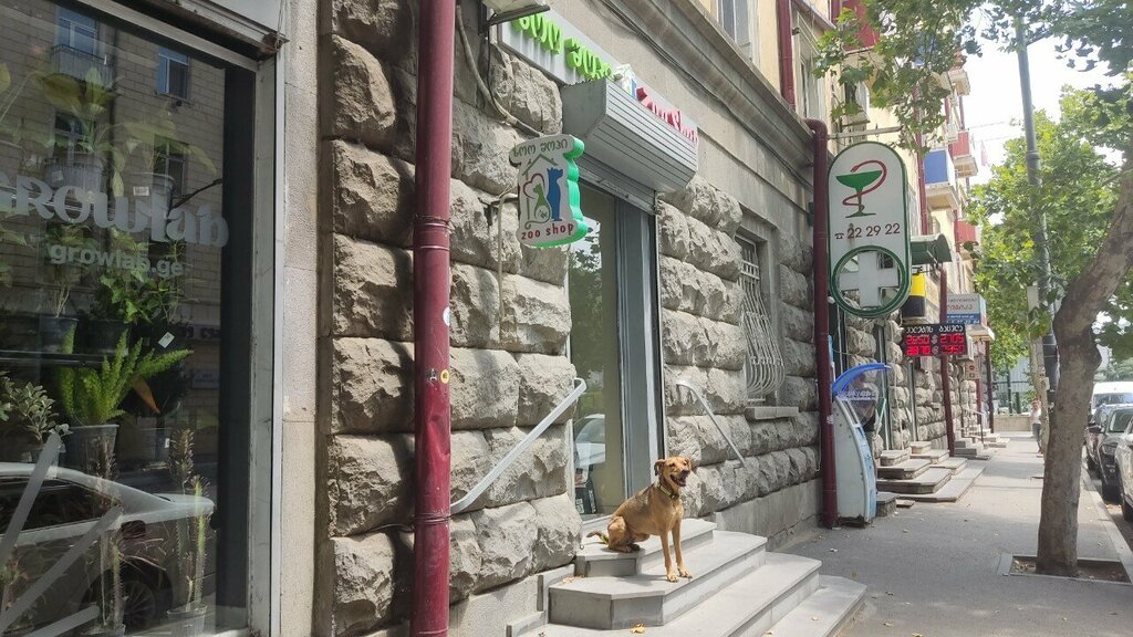 Petshop ზოო შოპი, Tiflis, foto