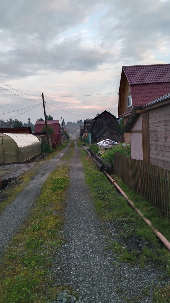 Bahçecilik dernekleri ve kuruluşları Прогресс, Sverdlovskaya oblastı, foto