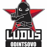 Ludus Alliance (ulitsa Chikina No:1А), spor kulüpleri  Odintsovo'dan