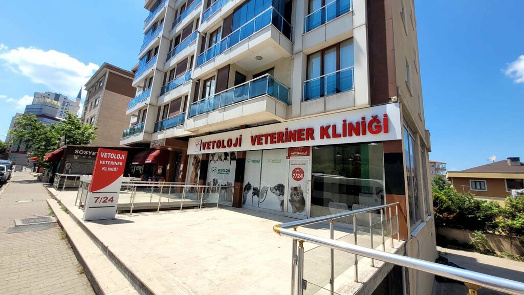Veteriner klinikleri Vetoloji Veteriner Kliniği, İstanbul, foto