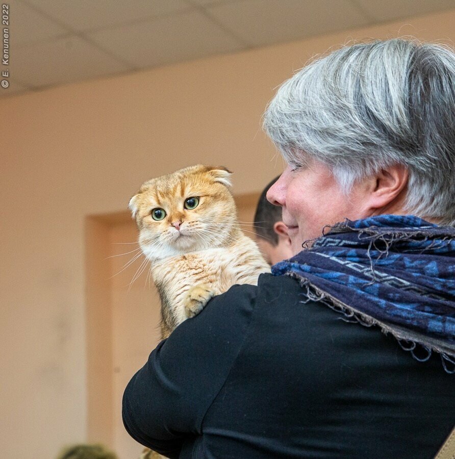 Sivil toplum kuruluşları Hator, Saint‑Petersburg, foto