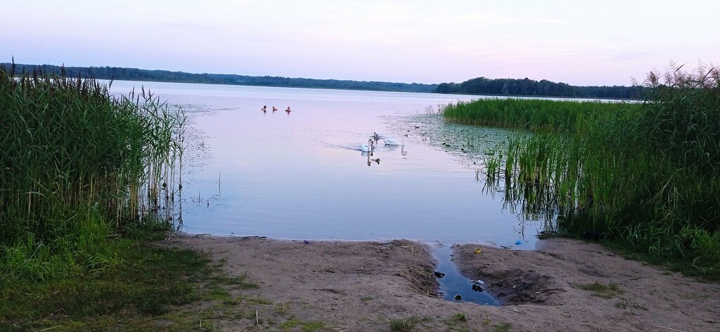 Plaj Пляж, Pskovskaya oblastı, foto