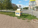 Контейнер для сбора книг (Ulyanovsk, Kho Shi Mina Avenue), gezgin kitap  Ulyanovsk'tan