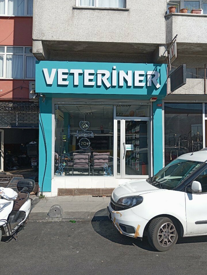 Veteriner klinikleri Cidago Veteriner Kliniği, İstanbul, foto