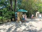 Экскурсии (Krasnodar Territory, Sochi, Mikhail Frunze Park), geziler  Soçi'den