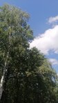Орленок (Sovetskaya Street No:35, Village of Verkhneyarkeyevo), tatil köyleri  Başkurdistan'dan