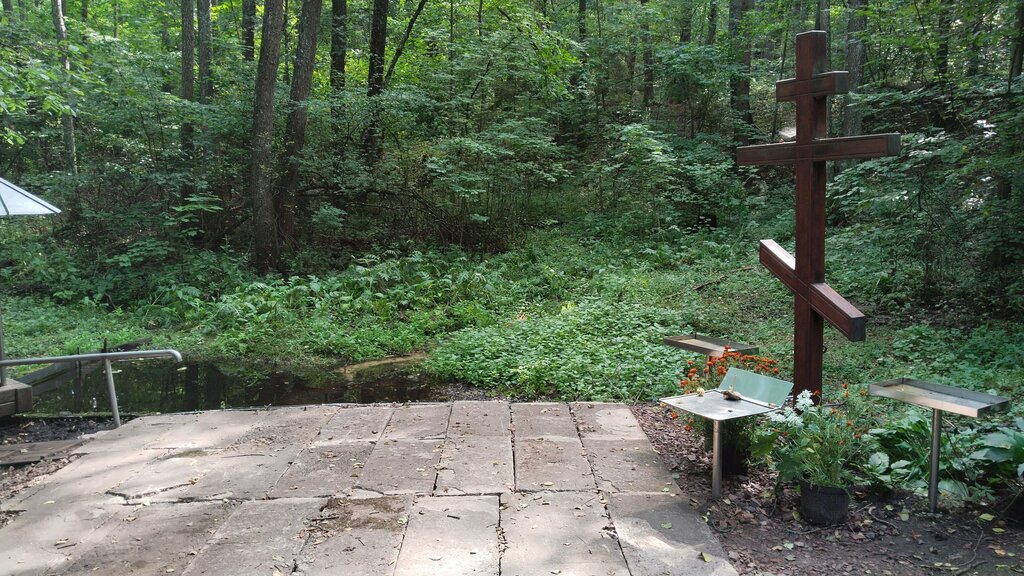 Pınar, çay Spring, stream, Mogiliovskaya oblastı, foto