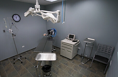 Veteriner klinikleri Petlantis Veteriner Kliniği, Ankara, foto