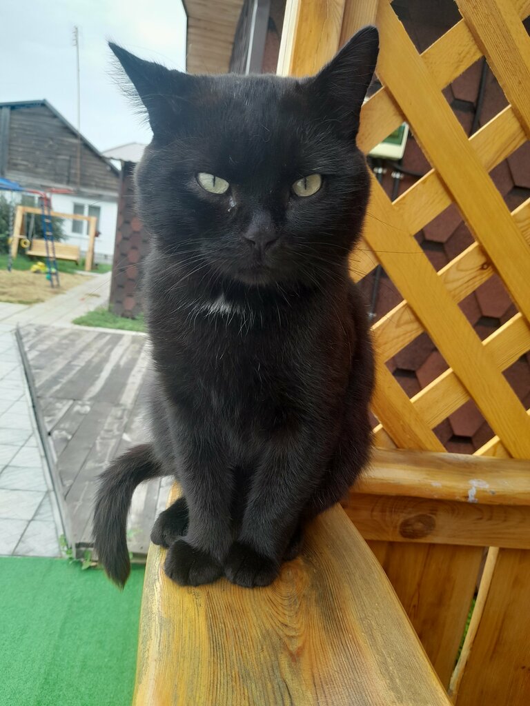 Konuk evi Гостевой дом, Yarovoye, foto