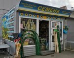Семена (Pervomayskiy Avenue No:56с1), tohum satan yerler  Riazan'dan