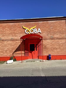 Сова (ulitsa imeni K.S. Petrova-Vodkina No:3), kafe  Hvalynsk'ten