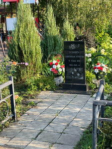 Защитникам Отечества в годы Великой Отечественной войны (Moscow Region, Pavlovo-Posadskiy Urban District, derevnya Borisovo), anıt, heykel  Moskova ve Moskovskaya oblastından