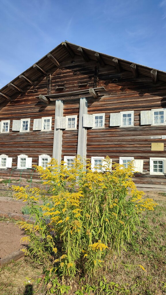 Turistik yerler Дом А.А. Кордумовой, Arhangelskaya oblastı, foto