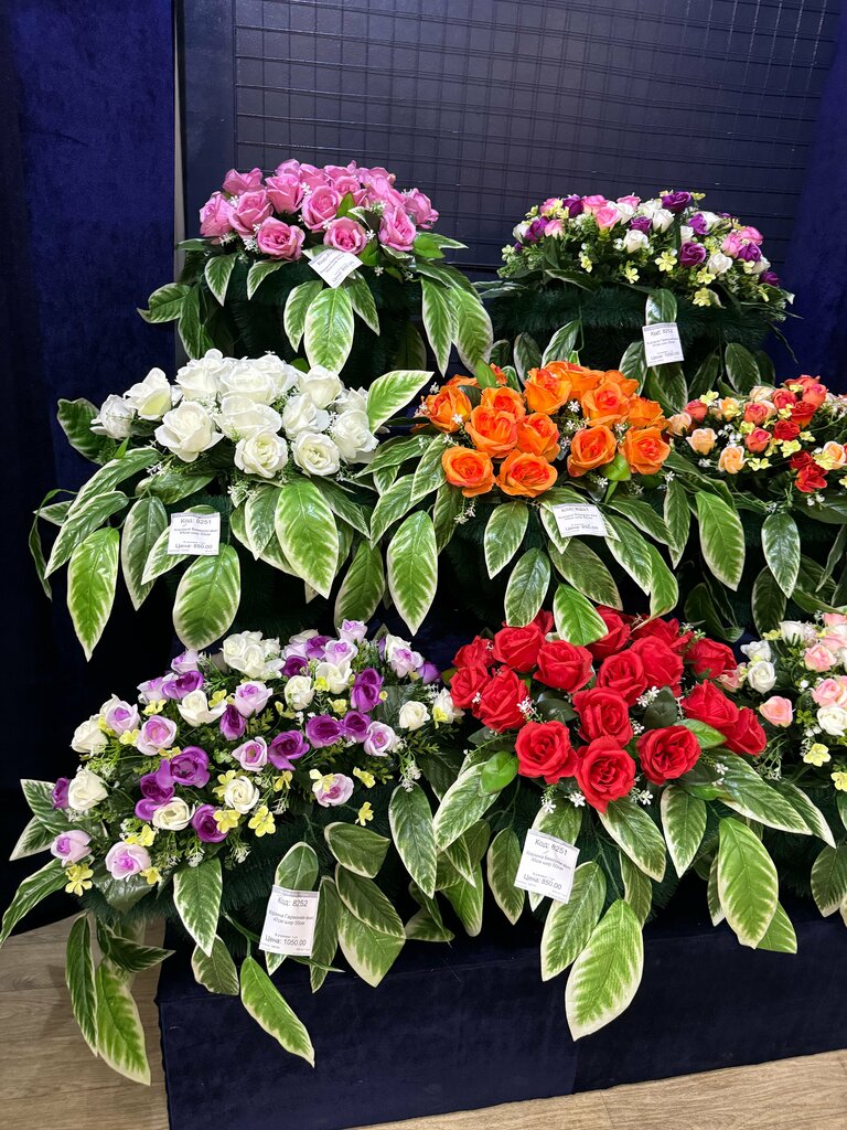 Yapay bitki ve çiçek Magnoliya, Novosibirskaya oblastı, foto