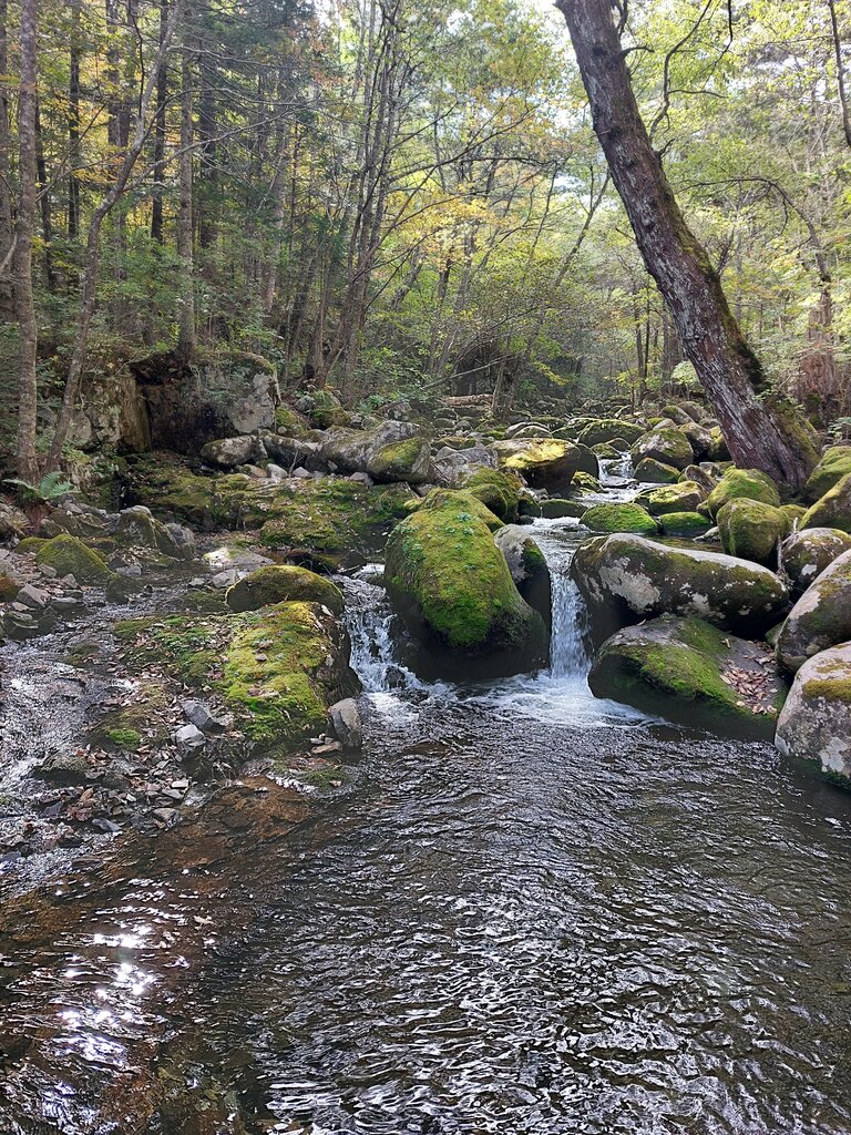 Kayak merkezleri Gornolyzhnaya baza Pidan Sikhote, Primoriye, foto
