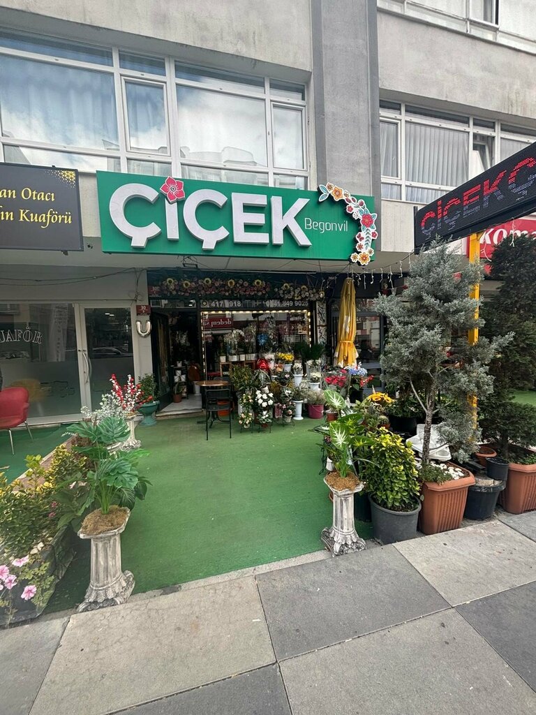 Çiçekçiler Begonvil Çiçek, Ankara, foto