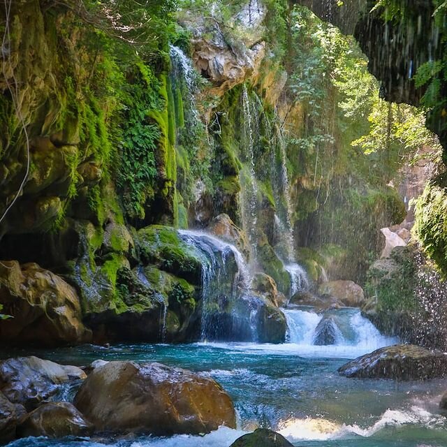 Yemek şirketleri Dalga Su, Konya, foto