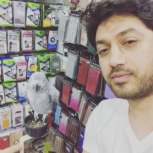 Cep telefonu ve aksesuarları satış mağazaları Kılıf Kolik, Adana, foto